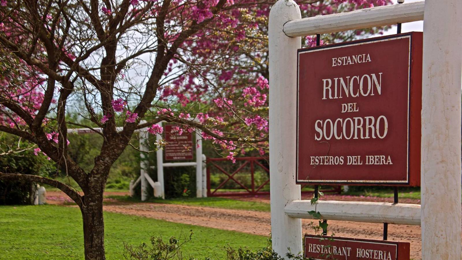 Contact of the excursion or tour