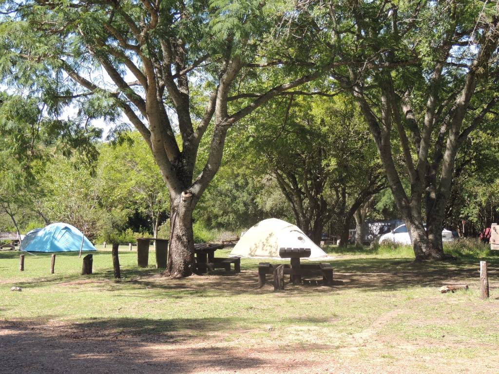 Camping El Palmar, Colón