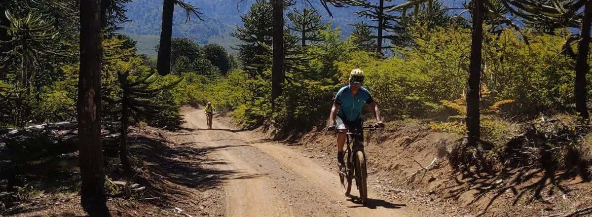 Tu Aventura Mountain Bike Villa Pehuenia | Welcome Argentina